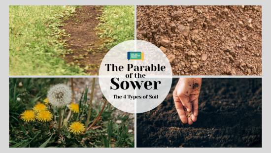 What Is Jesus’ Parable of the Sower About? - AskAnAdventistFriend.com